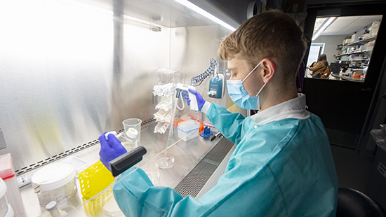 Research: Department of Pharmacology: Feinberg School of Medicine